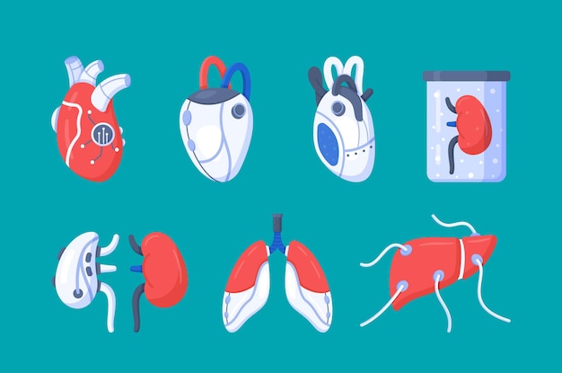 Vibrant Anatomical Illustrations: A Playful Exploration of the Human ...