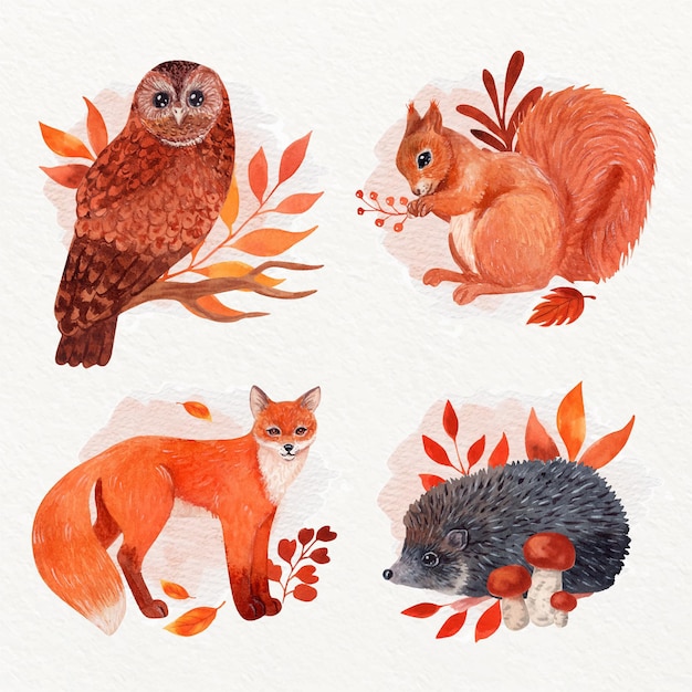 Vibrant Autumn-Inspired Animal Icons: Owl, Squirrel, Fox, and Hedgehog ...