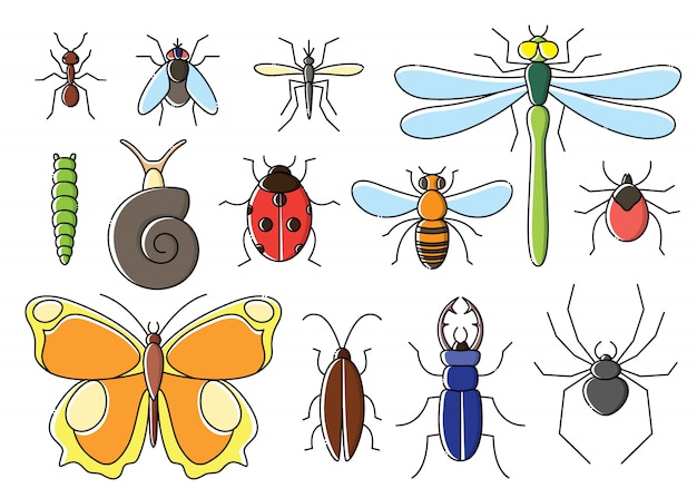 Vibrant Collection of Diverse Insects and Bugs | Jiffy Designs