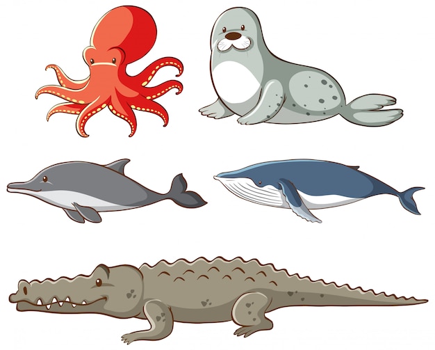 Vibrant Marine Life Collection: Octopus, Seal, Dolphin, and Alligator ...