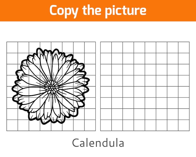 Calendula Flower Grid Copy Worksheet for Kids | Jiffy Designs