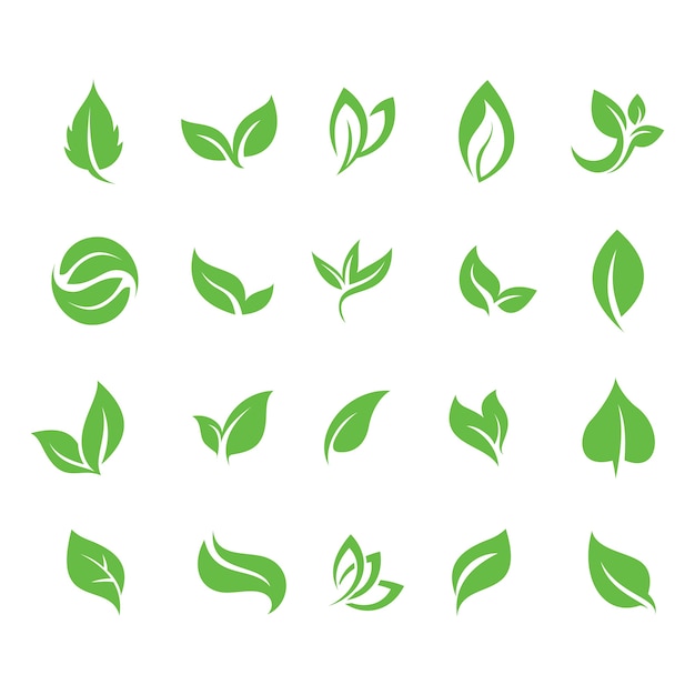 Vibrant Green Leaf Symbols: A Natural Botanical Illustration | Jiffy ...