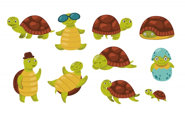Charming Collection of Colorful Cartoon Turtles and Tortoises | Jiffy ...