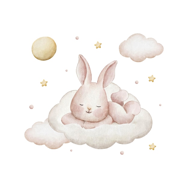 Dreaming Bunny Floating on Fluffy Clouds with Stars | Jiffy Designs