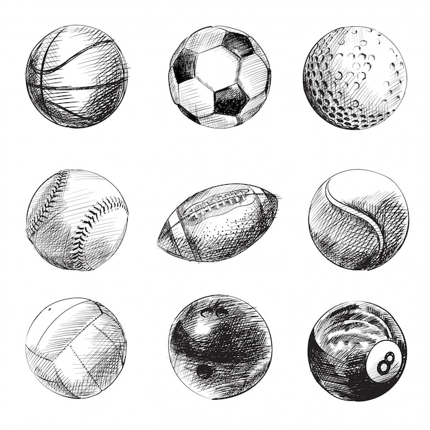 Diverse Collection of Iconic Sports Balls in Detailed Sketch Style ...