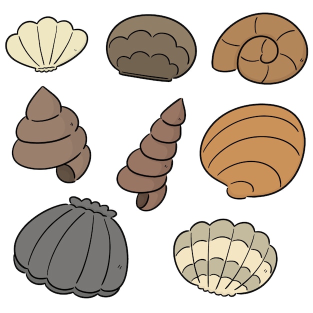 Diverse Collection of Stylized Seashell and Croissant Illustrations ...