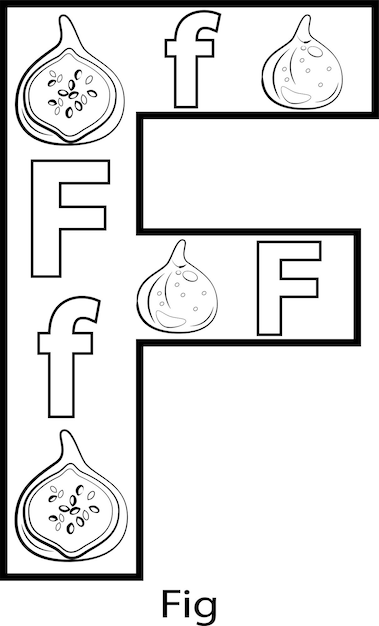 Stylized Monogram with Illustrative Figs and Typography | Jiffy Designs