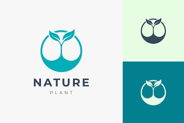 Elegant Leaf Symbol Representing Nature and Plant Life | Jiffy Designs