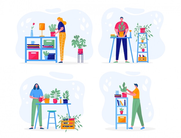 Vibrant Home Organization and Decor Illustrations | Jiffy Designs