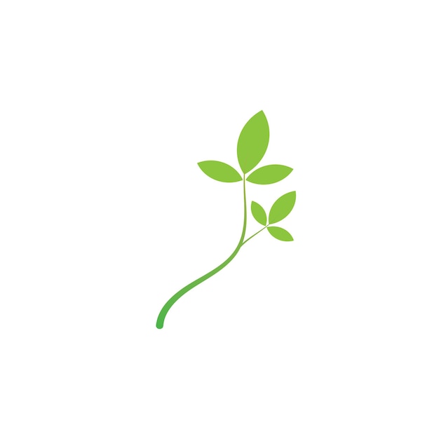 Vibrant Green Leaf Sprout with Fresh Foliage | Jiffy Designs