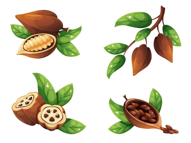 Vibrant Collection of Tropical Cocoa Pods and Leaves | Jiffy Designs