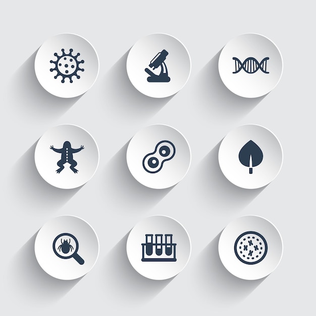 Diverse Collection of Versatile Scientific Icons for Varied ...