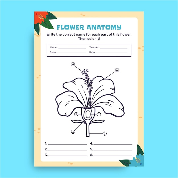 Vibrant Flower Anatomy Worksheet: Identify and Learn | Jiffy Designs