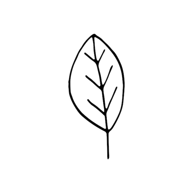 Minimalist Monochrome Leaf Illustration | Jiffy Designs