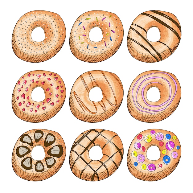 Delectable Donuts: A Mouthwatering Medley of Flavors and Textures ...
