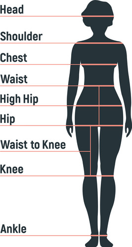 Female Size Chart Anatomy Human Character, People Dummy Front And View ...
