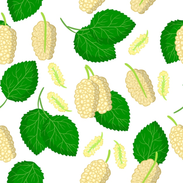 Vibrant Mulberry Leaves and Fruit Pattern | Jiffy Designs