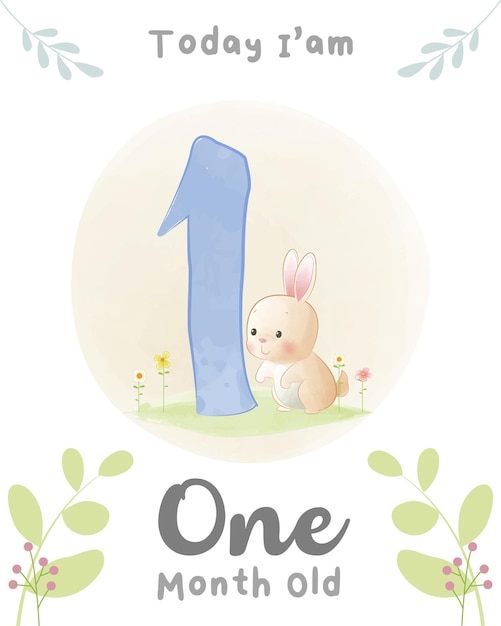 Adorable Bunny Celebrates One Month Milestone | Jiffy Designs