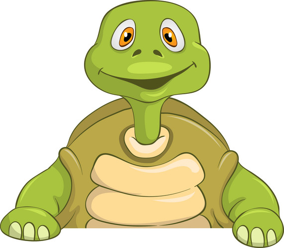 Funny Turtle | Jiffy Designs