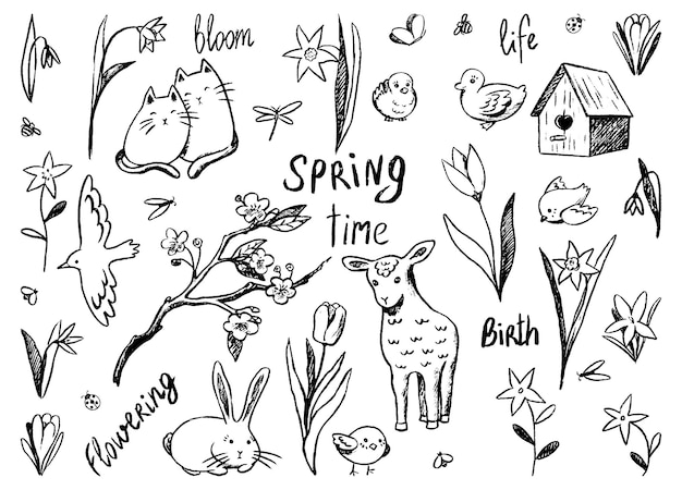 Spring Nature Doodles: Blooms, Birds, and Woodland Whimsy | Jiffy Designs