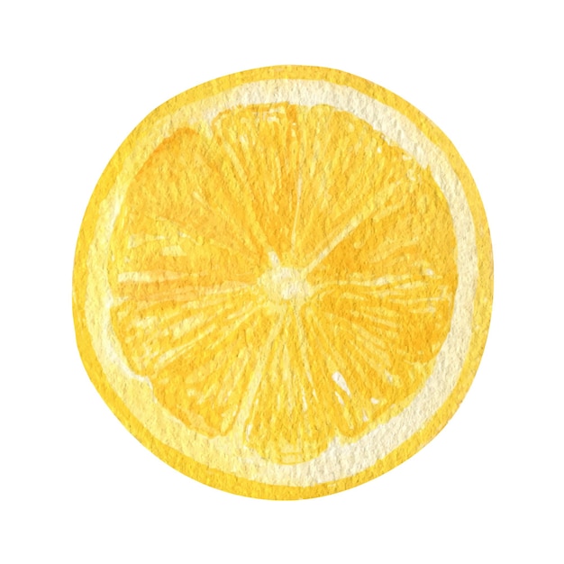 Vibrant and Zesty Lemon Slice | Jiffy Designs