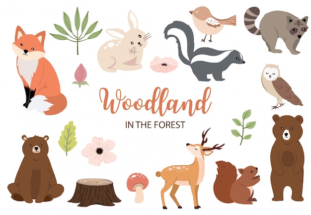 Charming Woodland Creatures and Flora Vector Collection | Jiffy Designs