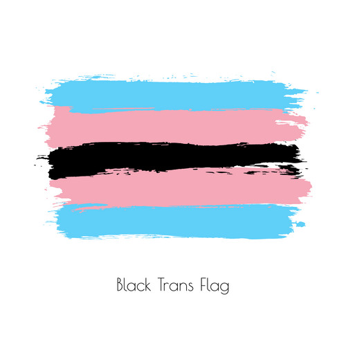 Black Transgender Lgbt Vector Watercolor Flag. Hand Drawn Ink Dry Brush ...