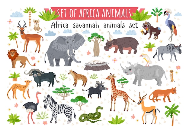Vibrant Collection of Iconic African Savanna Animals | Jiffy Designs