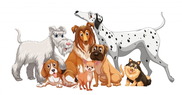 Colorful Cartoon Pack of Playful and Adorable Dogs | Jiffy Designs