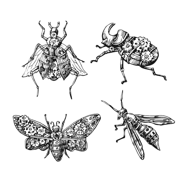 Intricate Insect Illustrations: A Detailed Entomological Showcase ...