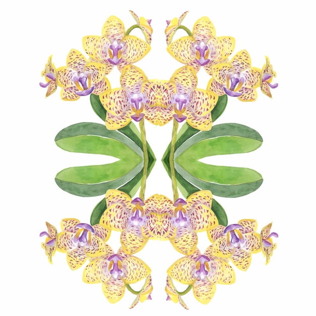 Ornate Yellow and Purple Orchid Floral Symmetrical Illustration | Jiffy ...