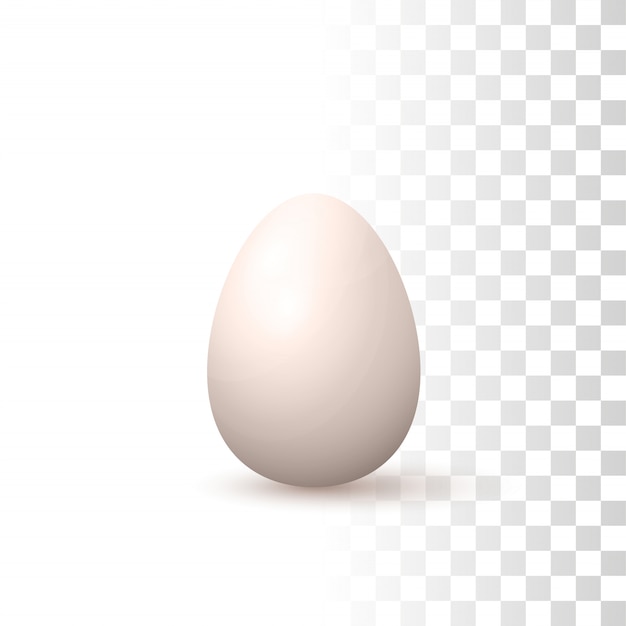 Realistic Egg Illustration with Subtle Shading and Texture | Jiffy Designs
