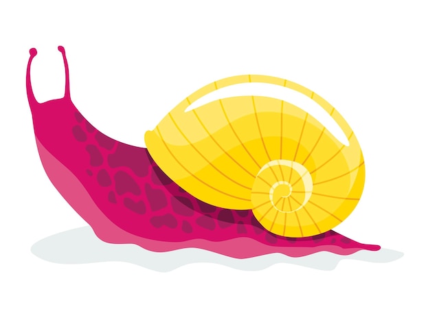Vibrant Spiral Snail Shell Illustration | Jiffy Designs