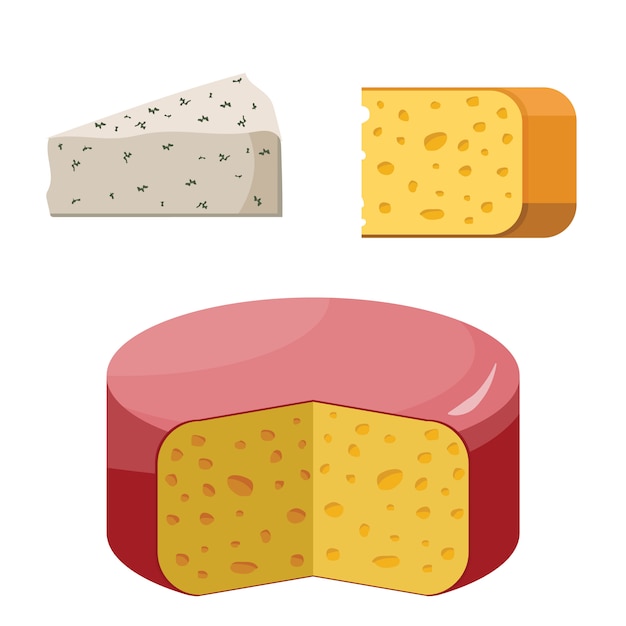 Delightful Cheese Wedges in Vibrant Colors and Textures | Jiffy Designs