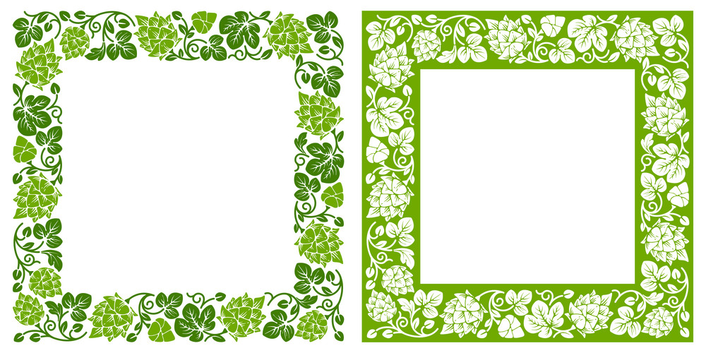 Set Of Square Frames With Patterns Of Hop Plant Or Malt, Ripe Hops ...