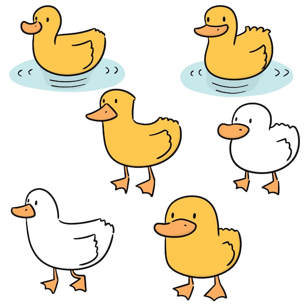 Adorable Rubber Ducky Illustrations in Playful Poses | Jiffy Designs