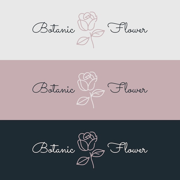 Elegant Botanical Floral Illustrations with Cursive Lettering | Jiffy ...