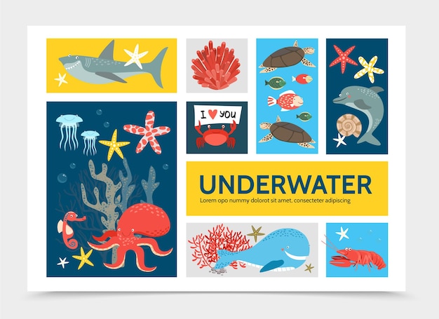 Captivating Underwater Creatures and Coral Reef Collage | Jiffy Designs