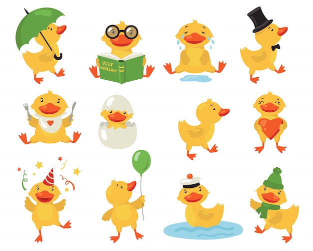 Delightful Ducklings: A Whimsical Parade of Playful Waterfowl | Jiffy ...