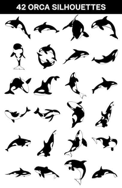 Elegant Orca Whale Silhouettes in Diverse Poses and Movements | Jiffy ...