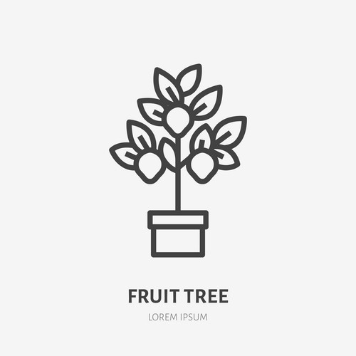 Lemon Tree Flat Line Icon. Gardening Vector Thin Sign. Illustration Of ...