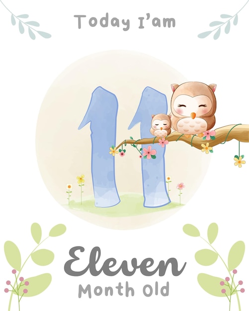 Adorable Owl Celebrates Eleven Months of Growth | Jiffy Designs