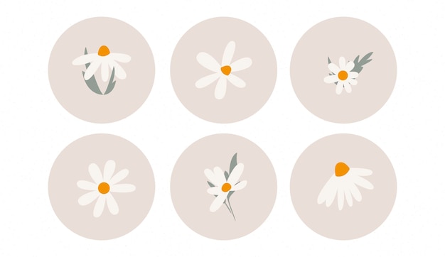 Charming Daisy Flower Collection for Versatile Design Needs | Jiffy Designs