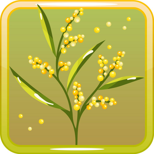 Vector Icon With Mimosa Flower. Perfect For Game And App Icons Devoted ...