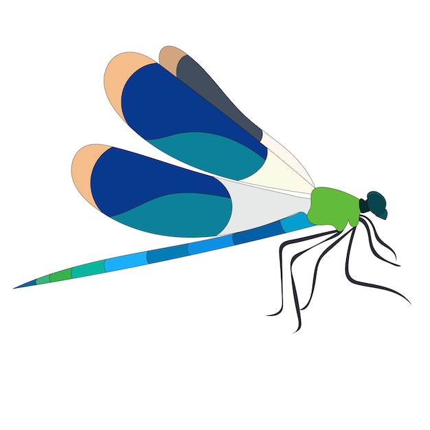 Vibrant Dragonfly Design with Intricate Wing Patterns | Jiffy Designs