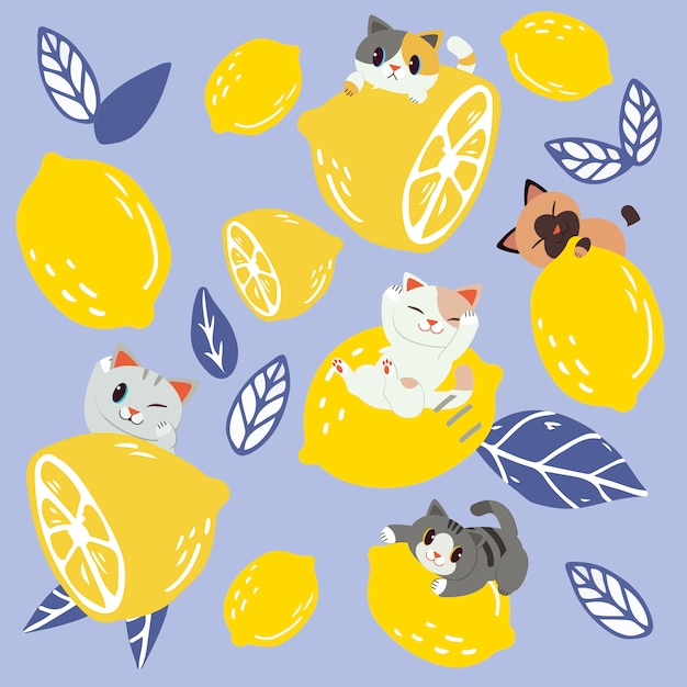 Delightful Lemon Kitty Collage with Playful Felines | Jiffy Designs