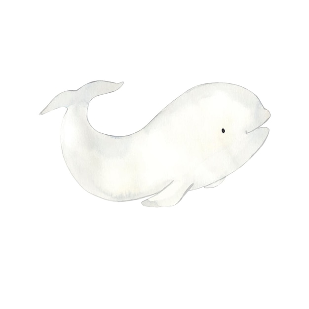 Charming White Whale Illustration for Versatile Designs | Jiffy Designs