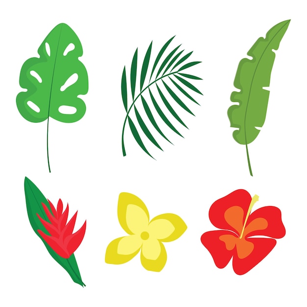Vibrant Tropical Leaf and Flower Collection for Creative Designs ...