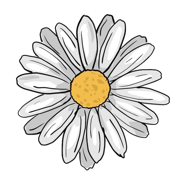 Stylized Daisy Flower Line Art Illustration | Jiffy Designs