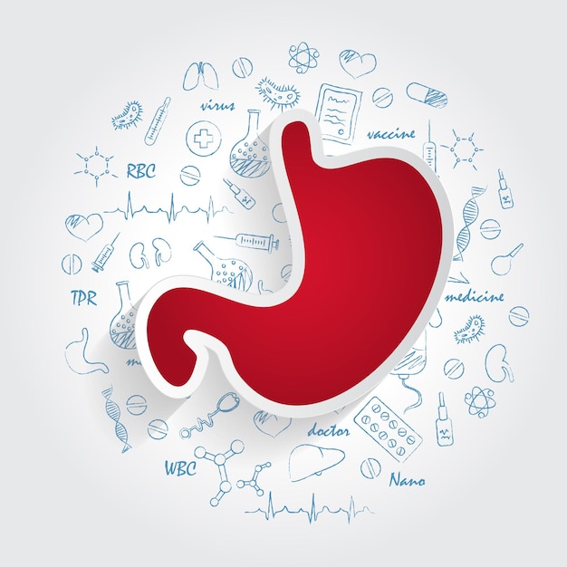Vibrant Red Stomach Surrounded by Medical Icons | Jiffy Designs